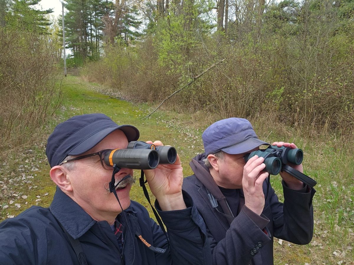 The Jason Turner Project – Comics and Projects